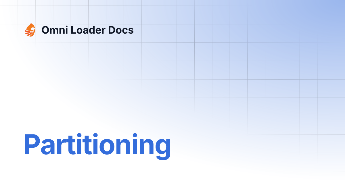 Partitioning | Omni Loader Docs